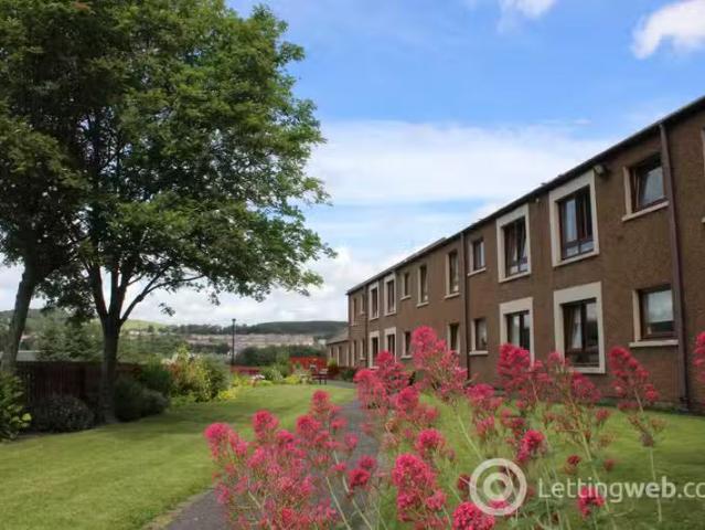 Property to rent in Douglas Haig Court, Hawick