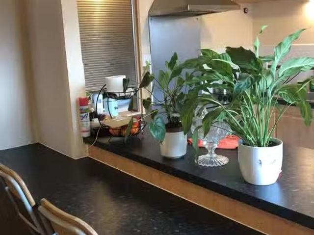 Property to rent in Ferrygait Crescent