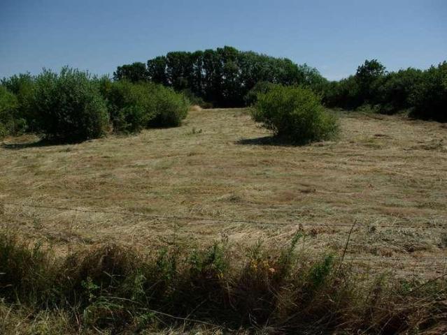 property for sale