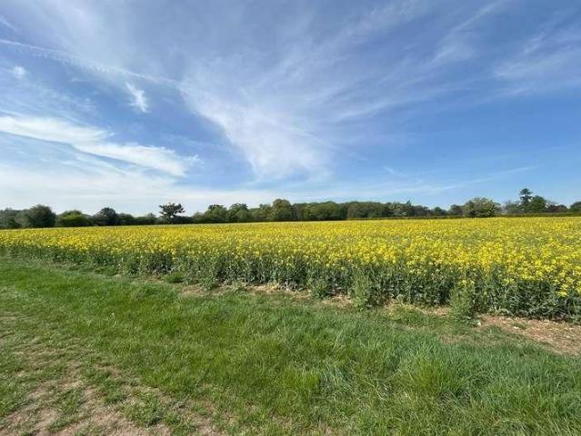 property for sale