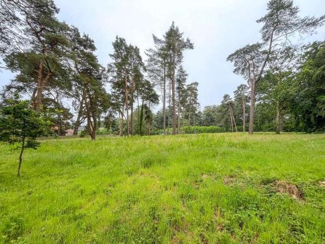 property for sale