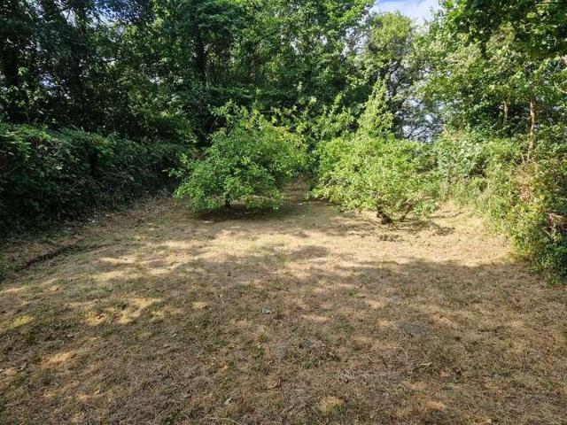 property for sale