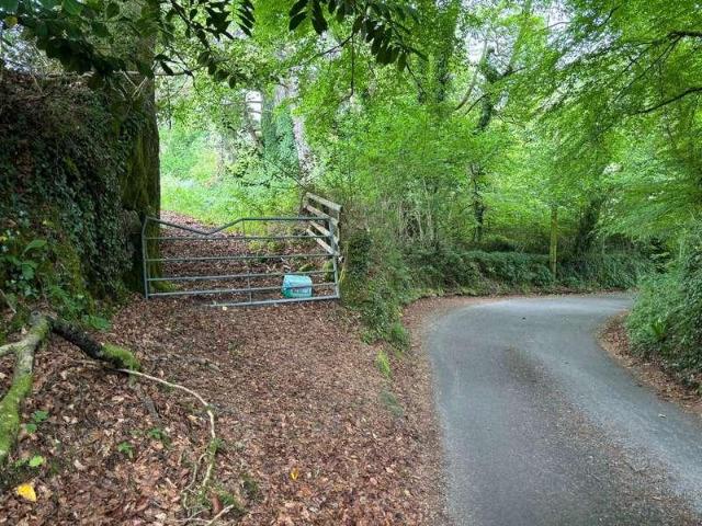 property for sale