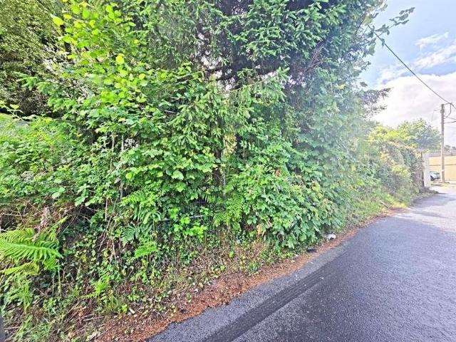 property for sale