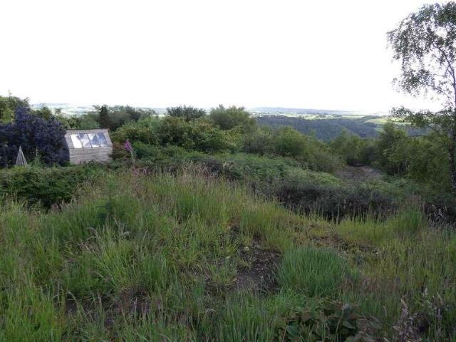 property for sale