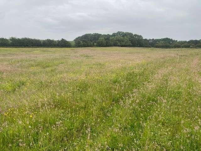property for sale