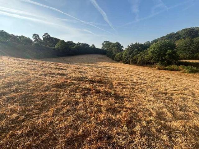 property for sale