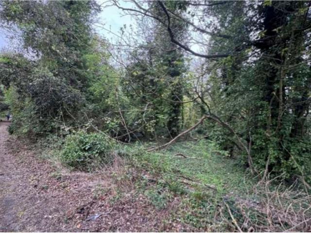 property for sale