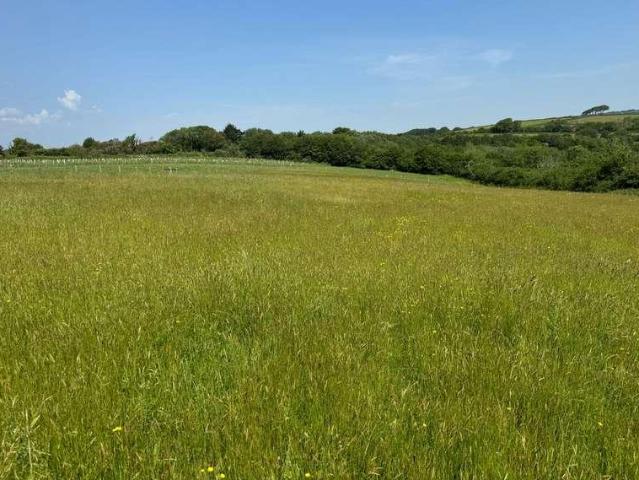 property for sale