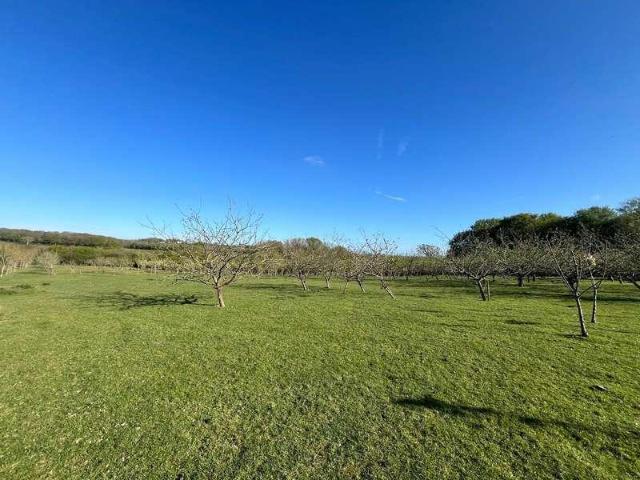 property for sale