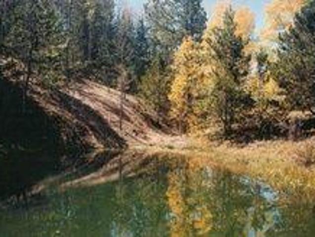 Property for sale in Cripple Creek, CO for $38000