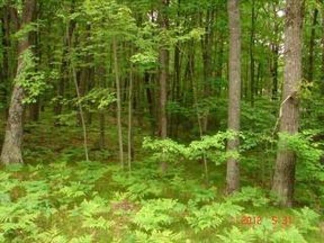 Property for sale in Farwell, MI for $6000