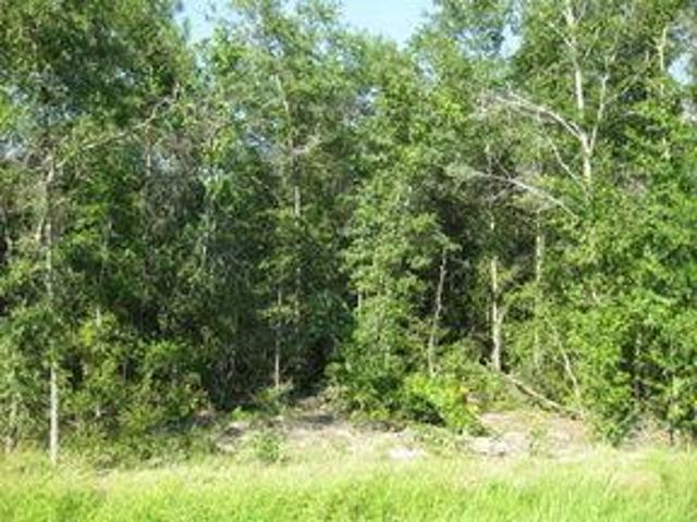 Property for sale in Naylor, GA for $185000