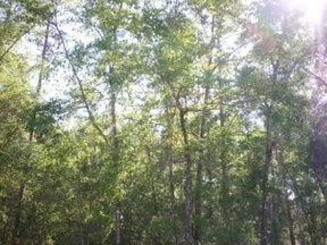 Property for sale in Naylor, GA for $37500