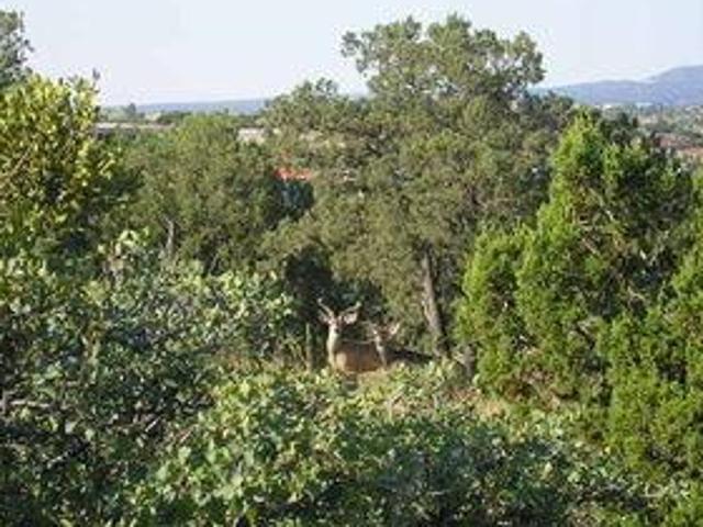 Property for sale in Silver City, NM for $90000