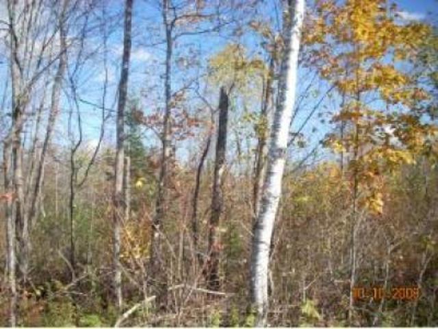 Property for Sale Jefferson