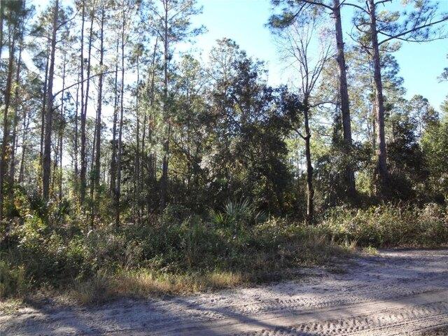 Property Location Is, Deland, Plot For Sale