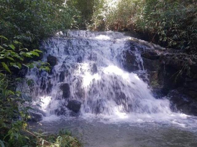 Propriedade Com 45.9 Hectares Em Morro Reuter
