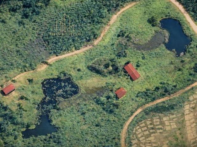 Propriedade Exclusiva com 19 Alqueires, Nascentes e Estrutura Completa em Piedade/SP