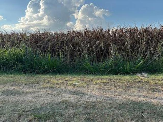 PROPRIEDADE RURAL À VENDA – 24 HECTARES PRODUTIVIDADE, ÁGUA E LOCALIZAÇÃO por R$ 14.400.000 Área