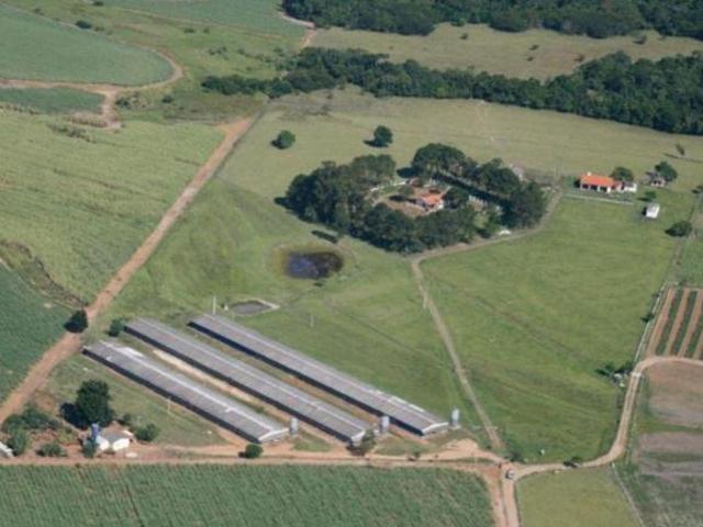 Propriedade rural, aviário e bovinos