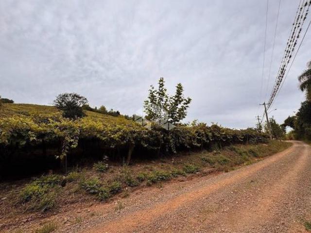 Propriedade Rural com produção de Uvas e uma casa de Mista