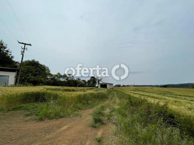 Propriedade Rural em Rio Negro/PR