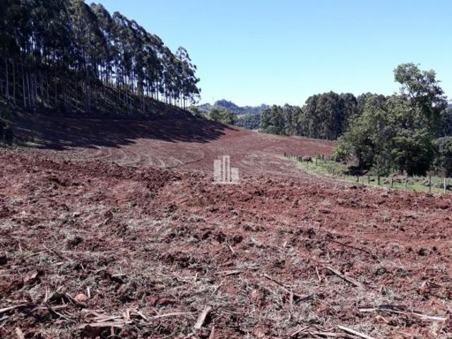 PROPRIEDADE RURAL ERVAL GRANDE