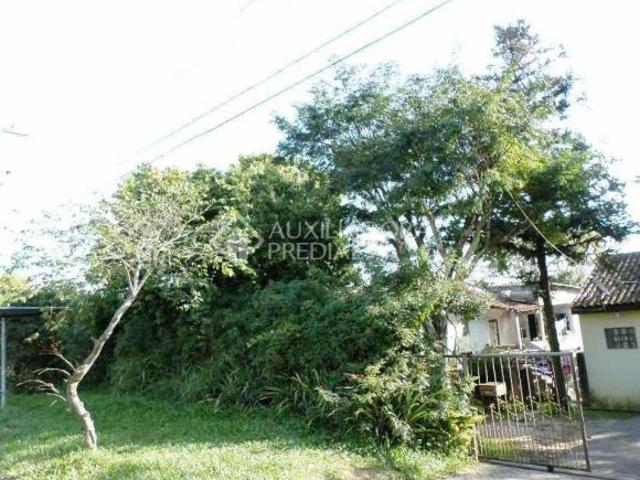 Propriedade Rural no bairro Belém Novo