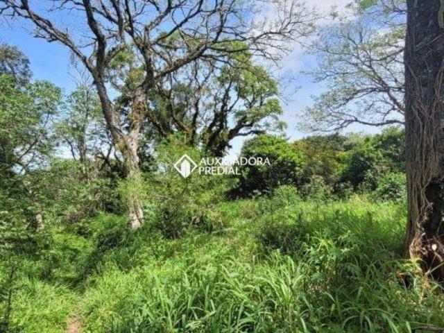 Propriedade Rural no bairro Lageado