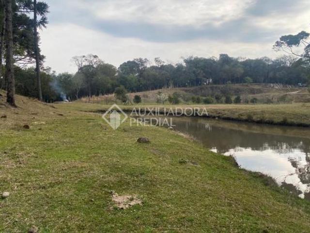 Propriedade Rural no bairro São Lucas