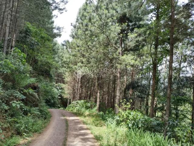 Propriedade Rural no bairro Serra Grande
