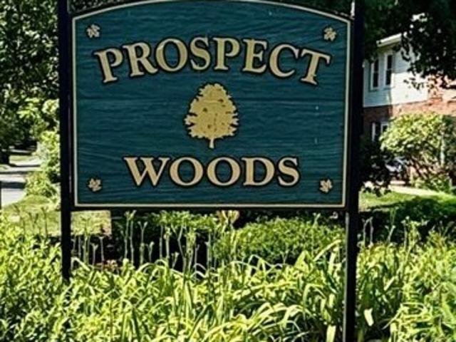 Prospect Ave Apt,northampton, Condo For Sale