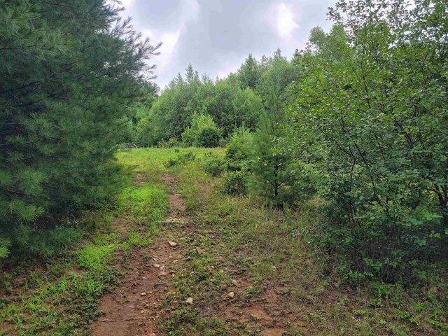 Prospect Hill Rd, Fitzwilliam, NH 03447