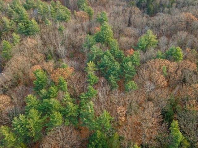 Prospect Hill Rd, Hancock, Plot For Sale