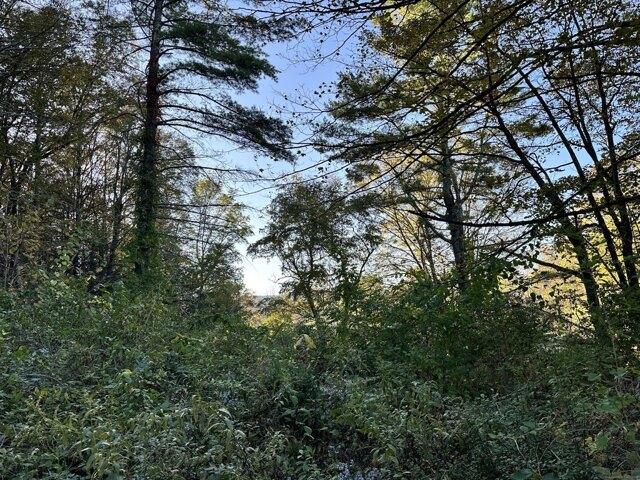Prospect Mountain Rd, Salisbury, Plot For Sale
