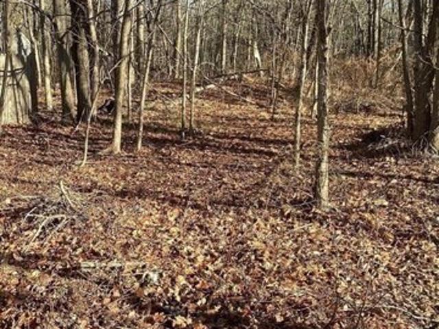Prospect St, Brockton, Plot For Sale