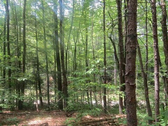 Pratt Corner Rd Lot 1, Leverett, MA 01054