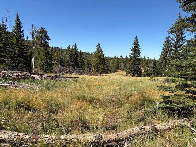 Pratt Creek Rd, Livermore, CO 80536