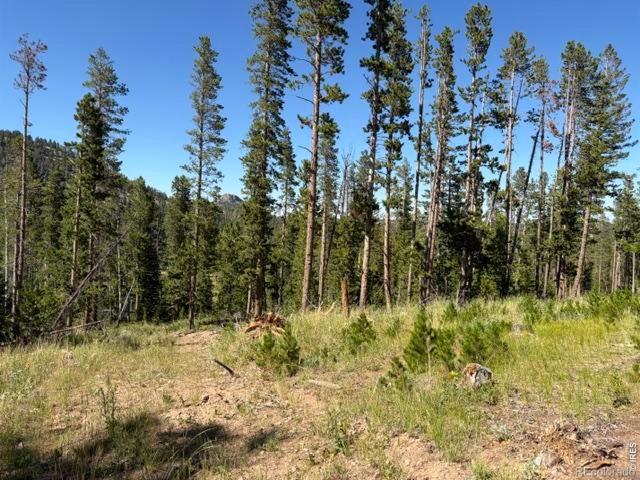 Pratt Creek Road