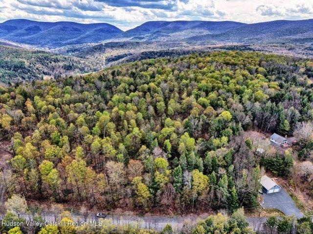 Prattsville NY 12468 105291061