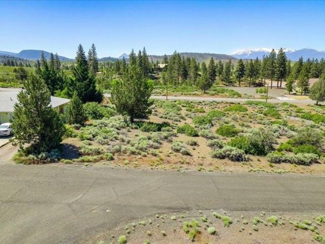 Prairie Dog Lot 104, Weed, CA 96094