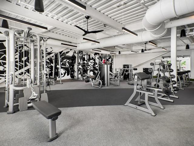 Prairie Shores 1 Bedroom Apartment for Rent at 2937 S King Dr, Chicago, IL 60616 Douglas