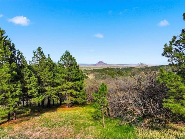 Prairie View Loop Lot 7, Whitewood, SD 57793