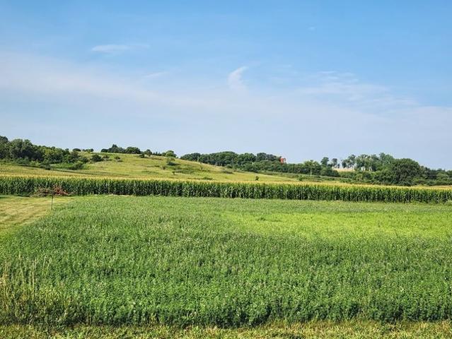 Prairie View Pl, Rockford, IA 50468