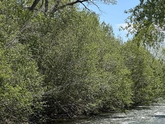 Prairie Wind Ln Lot 108, Capulin, CO 81124