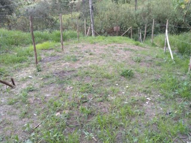PRDN 3000 Lote TE0021