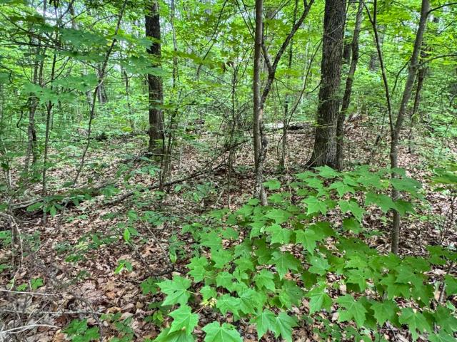 Prettiest Sunset Way Lot #4, Seymour, TN 37865