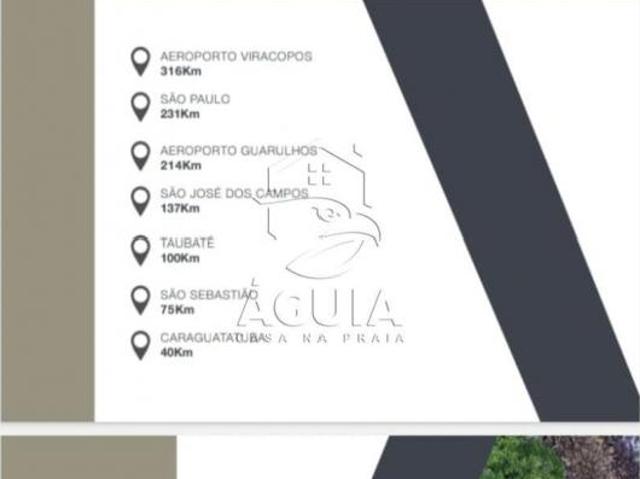 PRÉ LANÇAMENTO ALPHA LIVING TONINHAS