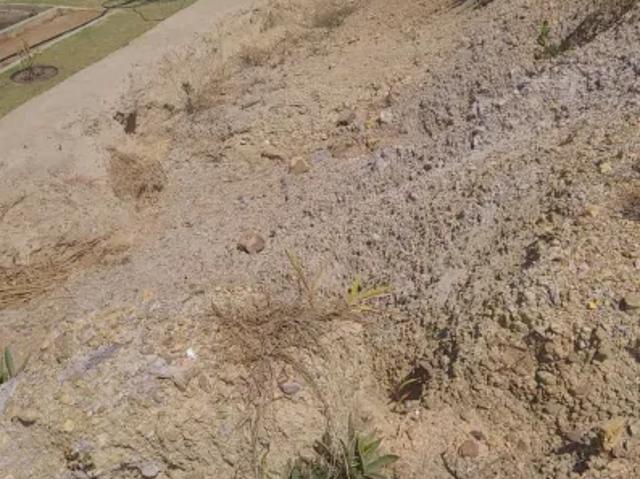 Preciosidade lote escriturado 1000m2 ouvo vermelho ii com projeto aprovado